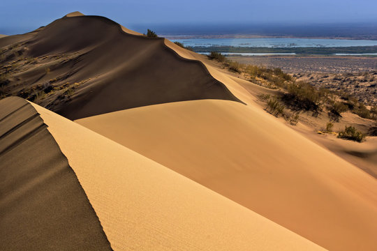 Barkhan Images – Browse 4,151 Stock Photos, Vectors, and Video | Adobe ...