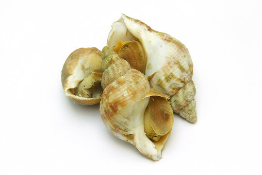 「Weilk」の画像 - 6,662 件の Stock 写真、ベクターおよびビデオ | Adobe Stock