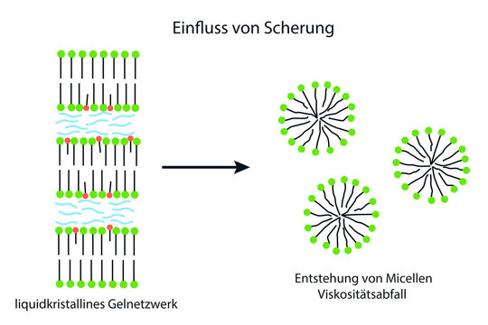 Amphiphil Images – Browse 37 Stock Photos, Vectors, and Video | Adobe Stock