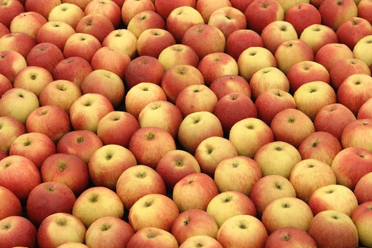 "Apple Texture" Images – Browse 117 Stock Photos, Vectors, and Video ...