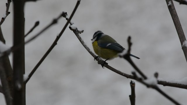 Duri Images – Browse 560 Stock Photos, Vectors, and Video | Adobe Stock