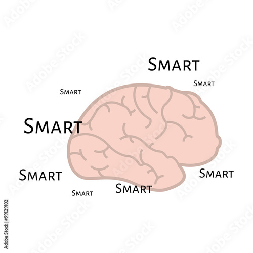 "Smart brain" Stock image and royalty-free vector files on Fotolia.com ...