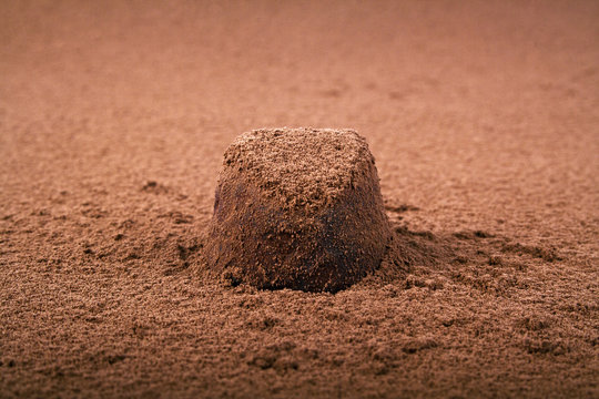 Temptation Images – Browse 430,031 Stock Photos, Vectors, and Video ...