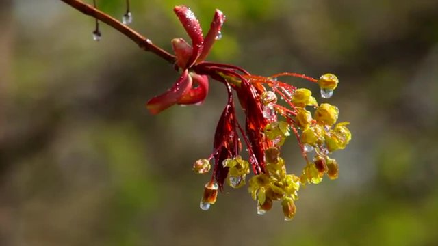 "Slanting Rain" Images – Browse 94 Stock Photos, Vectors, and Video ...