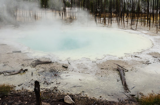"Cistern Spring"-Bilder: Stock-Fotos & -Videos. | Adobe Stock