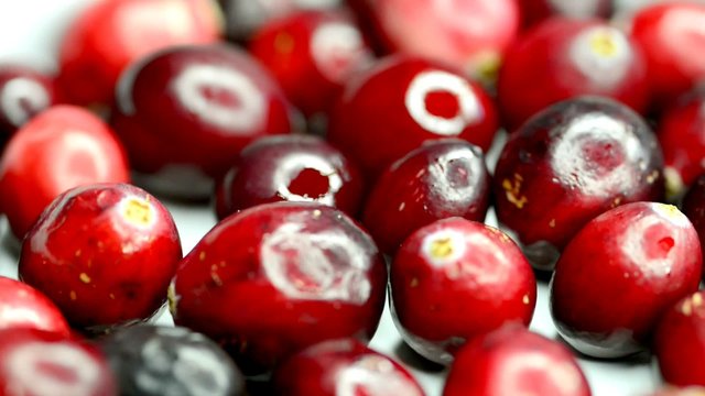 Craneberry Images – Browse 38 Stock Photos, Vectors, and Video | Adobe ...