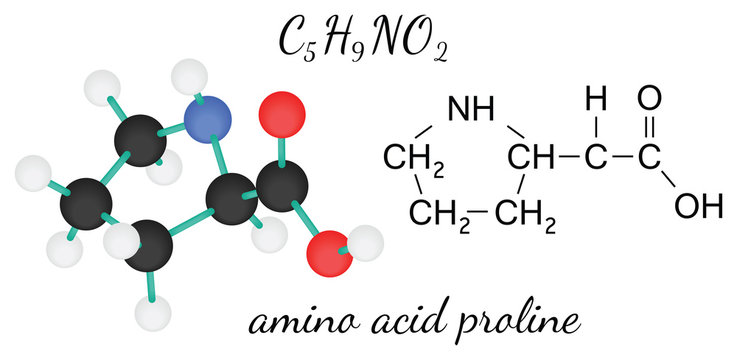 Proline Amino Acid