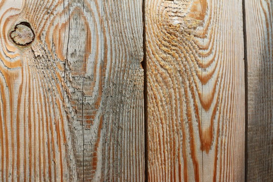 Chipwood Bilder – Durchsuchen 130 Archivfotos, Vektorgrafiken und ...