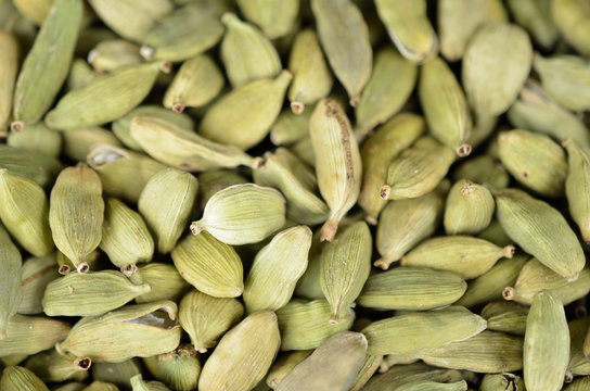 รูปภาพKardamon – เลือกดูภาพถ่ายสต็อก เวกเตอร์ และวิดีโอ975 | Adobe Stock