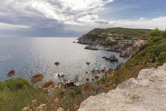 รูปภาพTalamone – เลือกดูภาพถ่ายสต็อก เวกเตอร์ และวิดีโอ487 | Adobe Stock