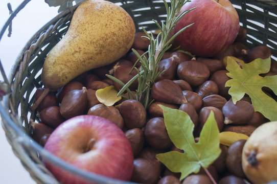 "Frutta Invernale" Bilder – Durchsuchen 74 Archivfotos, Vektorgrafiken ...