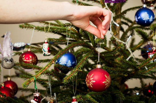 Choinki Bilder – Durchsuchen 2,169 Archivfotos, Vektorgrafiken und ...