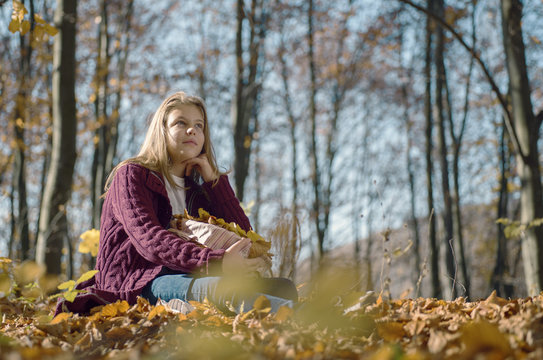 Naturer Images – Browse 55 Stock Photos, Vectors, and Video | Adobe Stock