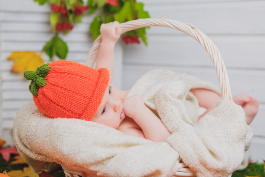 「Halwin」の写真素材 | 120件の無料イラスト画像 | Adobe Stock