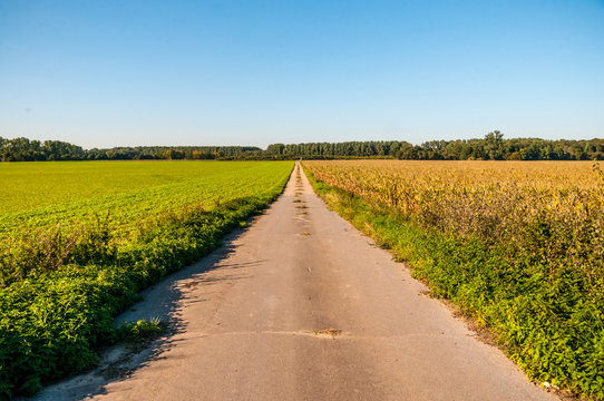 「Anstel」の写真素材 | 13件の無料イラスト画像 | Adobe Stock