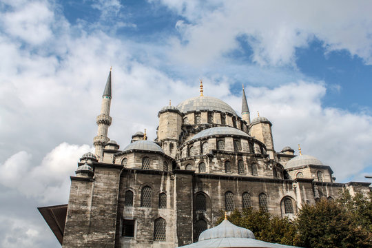 รูปภาพ"Dini – เลือกดูภาพถ่ายสต็อก เวกเตอร์ และวิดีโอ1,093 | Adobe Stock