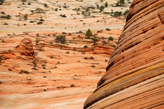 รูปภาพLithification – เลือกดูภาพถ่ายสต็อก เวกเตอร์ และวิดีโอ260 | Adobe ...