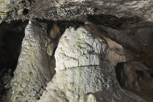 Rabisha Bilder – Durchsuchen 79 Archivfotos, Vektorgrafiken und Videos ...