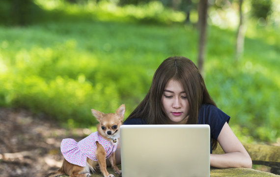 รูปภาพChivava – เลือกดูภาพถ่ายสต็อก เวกเตอร์ และวิดีโอ94 | Adobe Stock