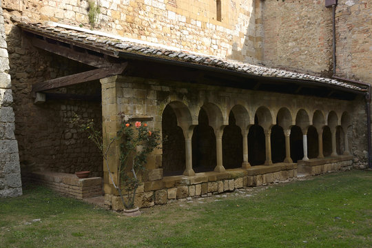 Tiburio - Images et vidéos libres de droits | Adobe Stock