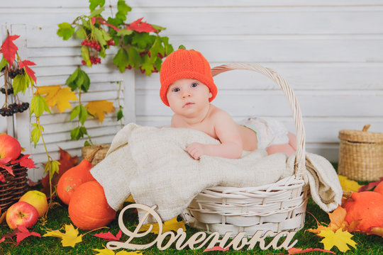 「Halwin」の写真素材 | 120件の無料イラスト画像 | Adobe Stock