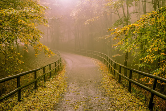 Weging bilder – Bläddra bland 2,608 stockfoton, vektorer och videor ...