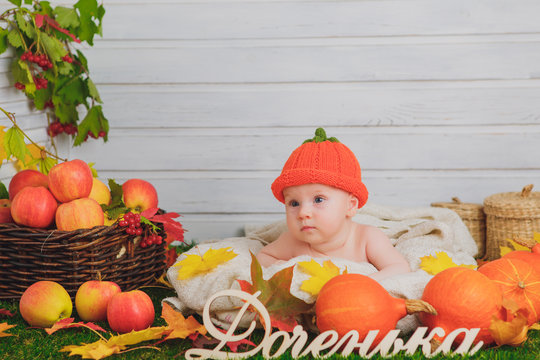 「Halwin」の写真素材 | 120件の無料イラスト画像 | Adobe Stock