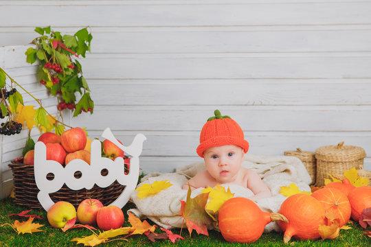 「Halwin」の写真素材 | 120件の無料イラスト画像 | Adobe Stock