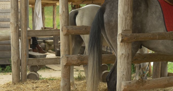 Shabrack Bilder – Durchsuchen 72 Archivfotos, Vektorgrafiken und Videos ...