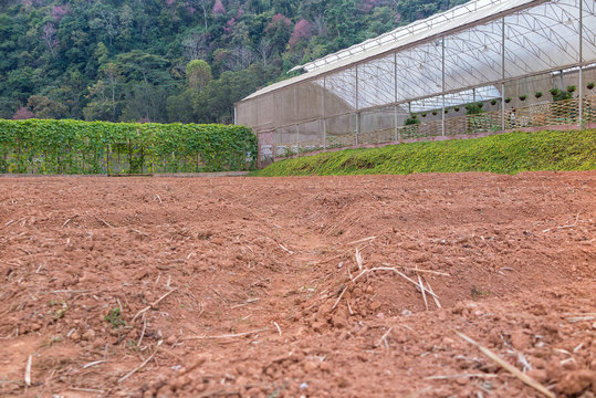 Nobod Images – Browse 357 Stock Photos, Vectors, and Video | Adobe Stock