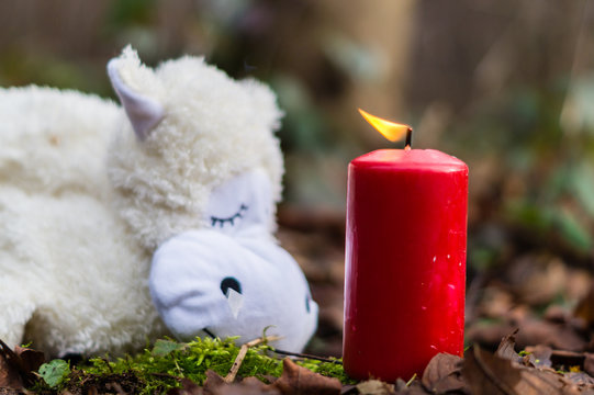 Kidnappen-Bilder: Stock-Fotos & -Videos. | Adobe Stock