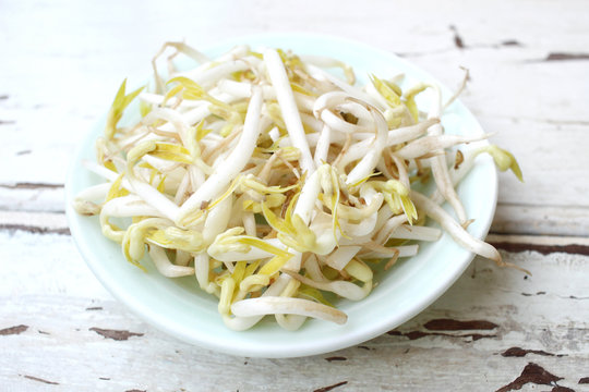 รูปภาพ"Soja – เลือกดูภาพถ่ายสต็อก เวกเตอร์ และวิดีโอ16,607 | Adobe Stock