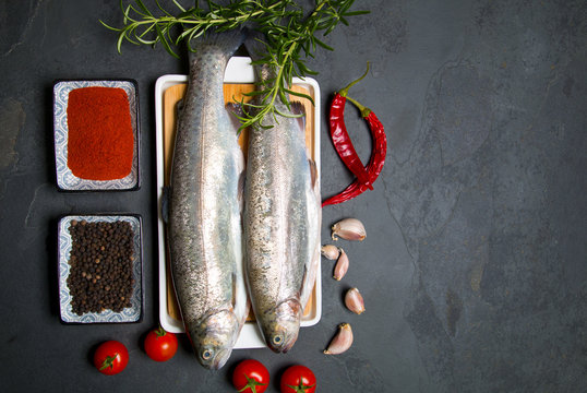 Obrázky Ryba – procházejte fotografie, vektory a videa 13,623 | Adobe Stock