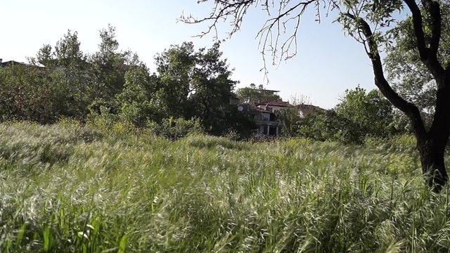 Otlar Bilder – Durchsuchen 135 Archivfotos, Vektorgrafiken und Videos ...