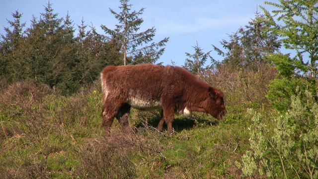 Gummer Images – Browse 152 Stock Photos, Vectors, and Video | Adobe Stock