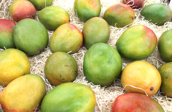 รูปภาพMangues – เลือกดูภาพถ่ายสต็อก เวกเตอร์ และวิดีโอ745 | Adobe Stock