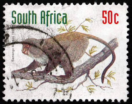 รูปภาพSamango – เลือกดูภาพถ่ายสต็อก เวกเตอร์ และวิดีโอ126 | Adobe Stock