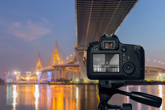 restimage photos, images, assets | Adobe Stock