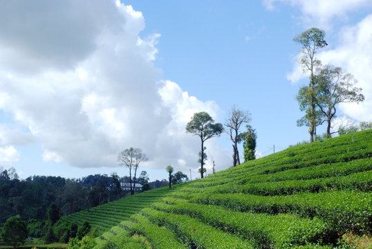 รูปภาพManipuri – เลือกดูภาพถ่ายสต็อก เวกเตอร์ และวิดีโอ175 | Adobe Stock