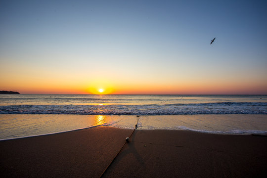 「Obsor」の写真素材 | 58件の無料イラスト画像 | Adobe Stock