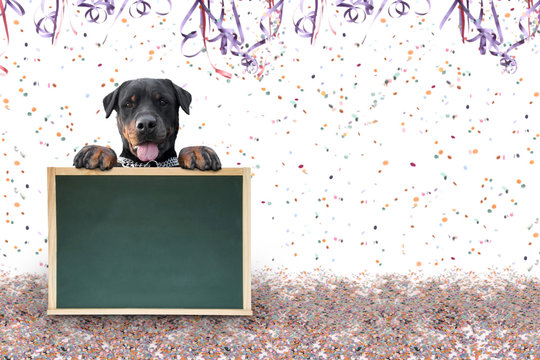 รูปภาพLorn – เลือกดูภาพถ่ายสต็อก เวกเตอร์ และวิดีโอ650 | Adobe Stock