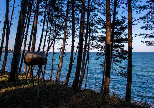 Obsor Images – Browse 58 Stock Photos, Vectors, and Video | Adobe Stock