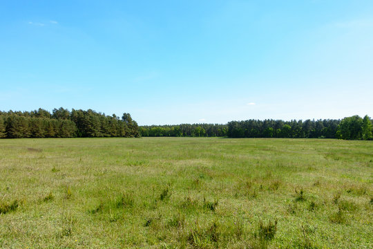 Treeline Images – Browse 28,562 Stock Photos, Vectors, and Video ...