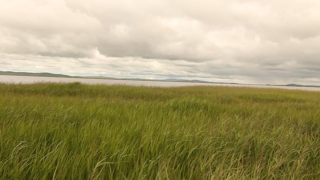 รูปภาพPoyang – เลือกดูภาพถ่ายสต็อก เวกเตอร์ และวิดีโอ149 | Adobe Stock