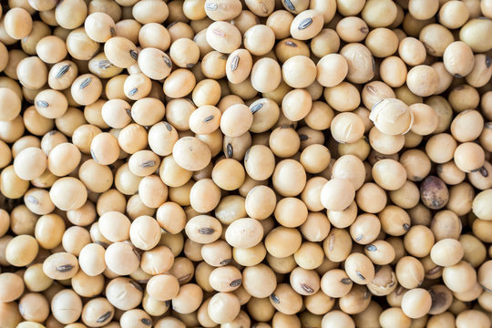 รูปภาพSoymilk – เลือกดูภาพถ่ายสต็อก เวกเตอร์ และวิดีโอ18,887 | Adobe Stock