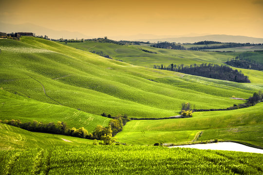 Lari Images – Browse 3,856 Stock Photos, Vectors, and Video | Adobe Stock