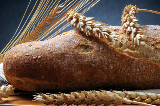 Francesino Images – Browse 43 Stock Photos, Vectors, and Video | Adobe ...