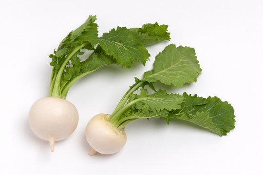 Majrova bilder – Bläddra bland 50,495 stockfoton, vektorer och videor ...