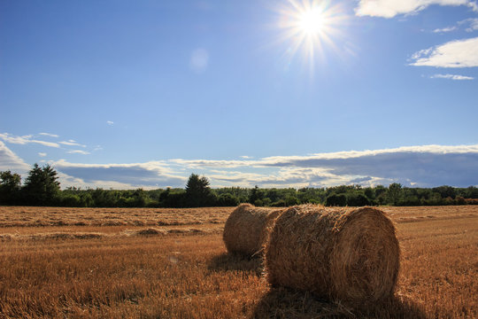 「Heurolle」の画像 - 192 件の Stock 写真、ベクターおよびビデオ | Adobe Stock