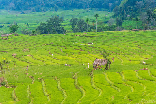 Rantambe Images – Browse 9 Stock Photos, Vectors, and Video | Adobe Stock